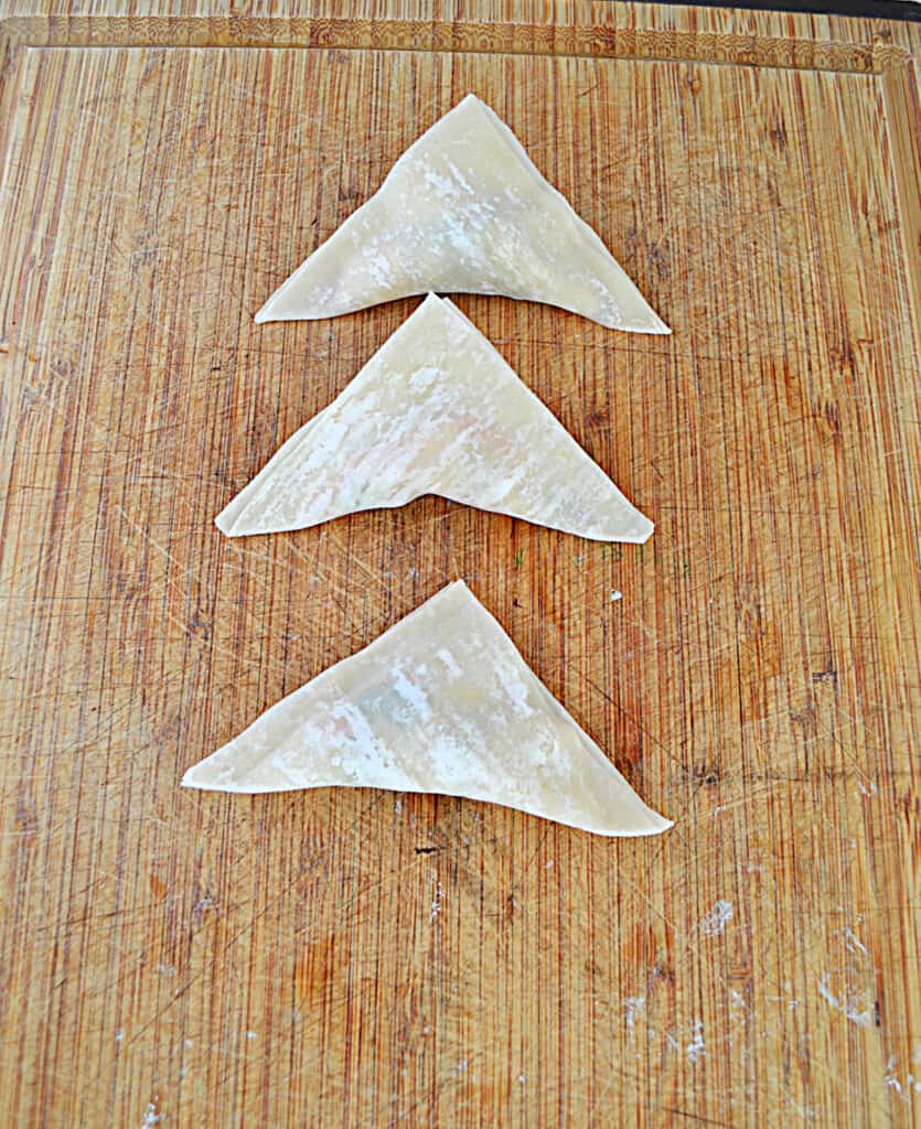 Fried Won Tons - Hezzi-D's Books and Cooks